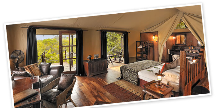 Introducing The Elewana Collection and the ultimate SkiSafari adventure